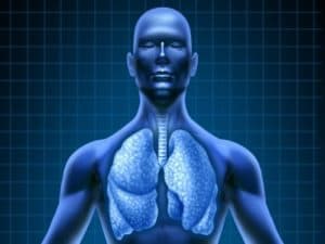 whole-body-flush – LiveO2