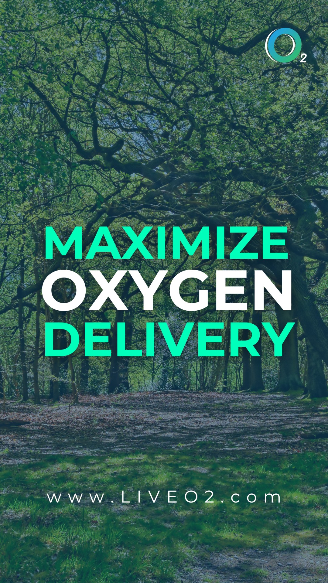 Discover The Power of BrainO2 by LiveO2 - LiveO2